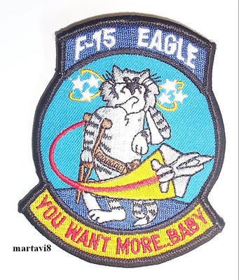 US.Air Force F-15 Eagle` TOMCAT BEATERS` Aircraft Cloth Badge / Patch ...
