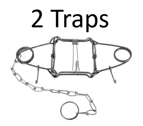 2 Oneida Victor #120-2 Genuine Conibear Trap Trapping Supplies 2 Traps | eBay