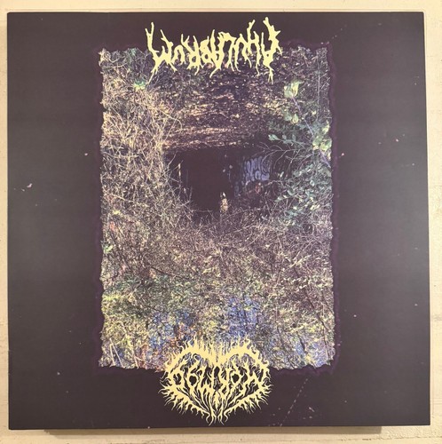 MORMOO / AHULABRUM – AHULABRUM / M O RMOO - VINYL LP BLACK - VG+ - A7 ...