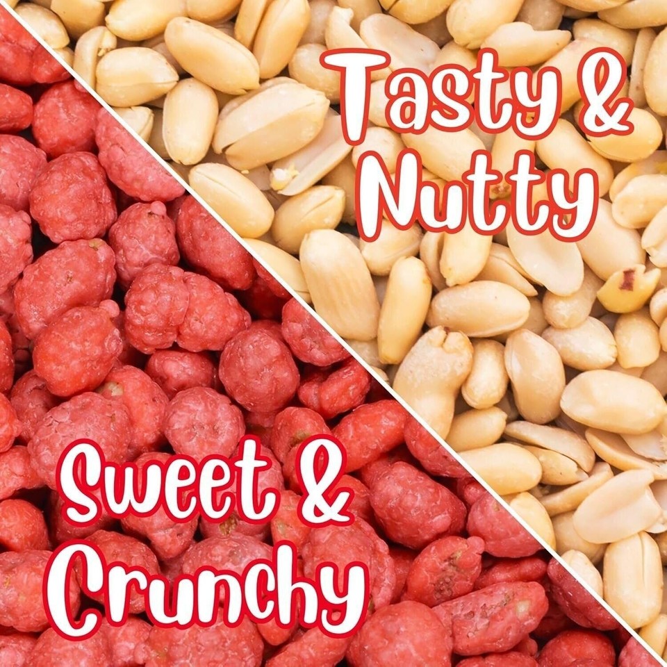 French Burnt Peanuts by Its Delish, 5 lbs Bulk Bag | Candy Coated Nuts ...