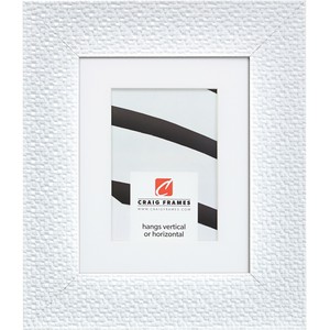 Craig Frames | eBay Stores