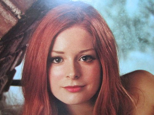 WILLY REY ~ February 1971 Playboy Magazine Playmate CENTERFOLD ONLY | eBay