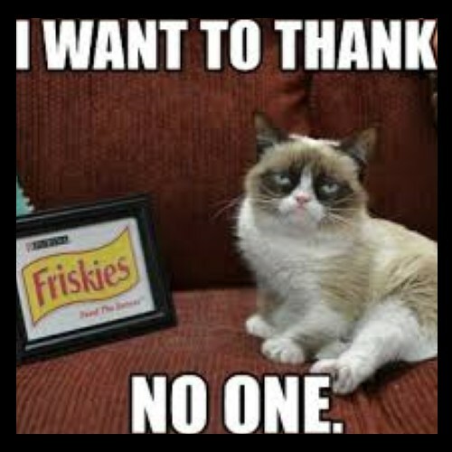 Grumpy Cat Thank You Meme