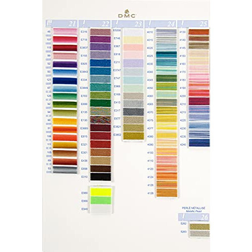 DMC Embroidery Thread Color Sample Book with Actual Samples W100B | eBay