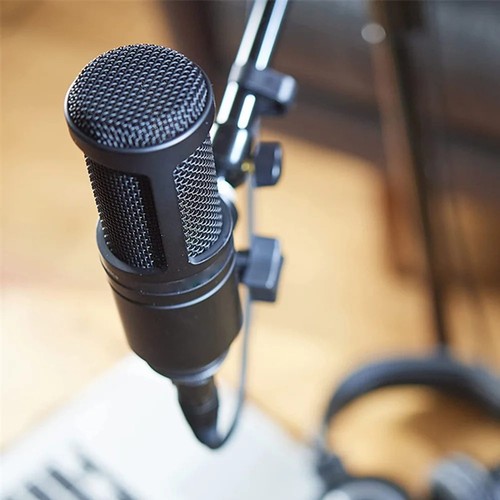 Audio Technica AT-2020 Cardioid Condenser Microphone for Studio ...