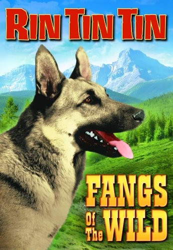Rin Tin Tin - Fangs Of The Wild (DVD) Rin Tin Tin 89218560193| eBay