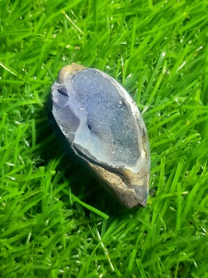 Natural Druzy shell Agate Fancy Loose Gemstone spiralite sea shell 36× ...