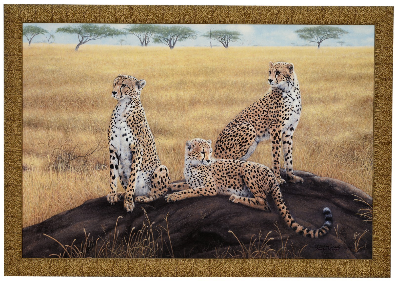 MORNING CALM Charles Frace CANVAS Signed & Numbered w/coa Framed ...