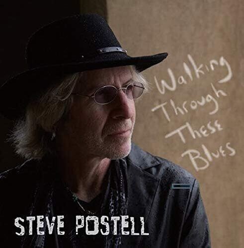 Steve Postel Walking Through These Blues Japan Music CD | eBay