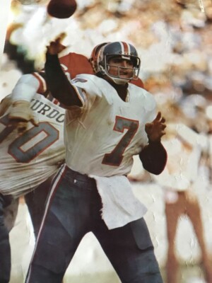 1973 Studio One Sports Illustrated Football Poster Dan Pastorini ...