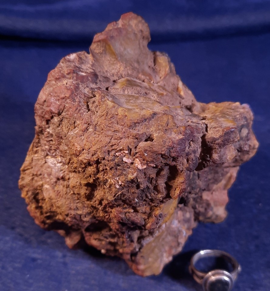 DINOSAUR COPROLITE from WYOMING - POLISHED - GEM GRADE - STANDING ...