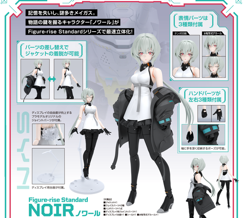 Figure-rise Standard SYNDUALITY Noir Model kit via FedEx | eBay