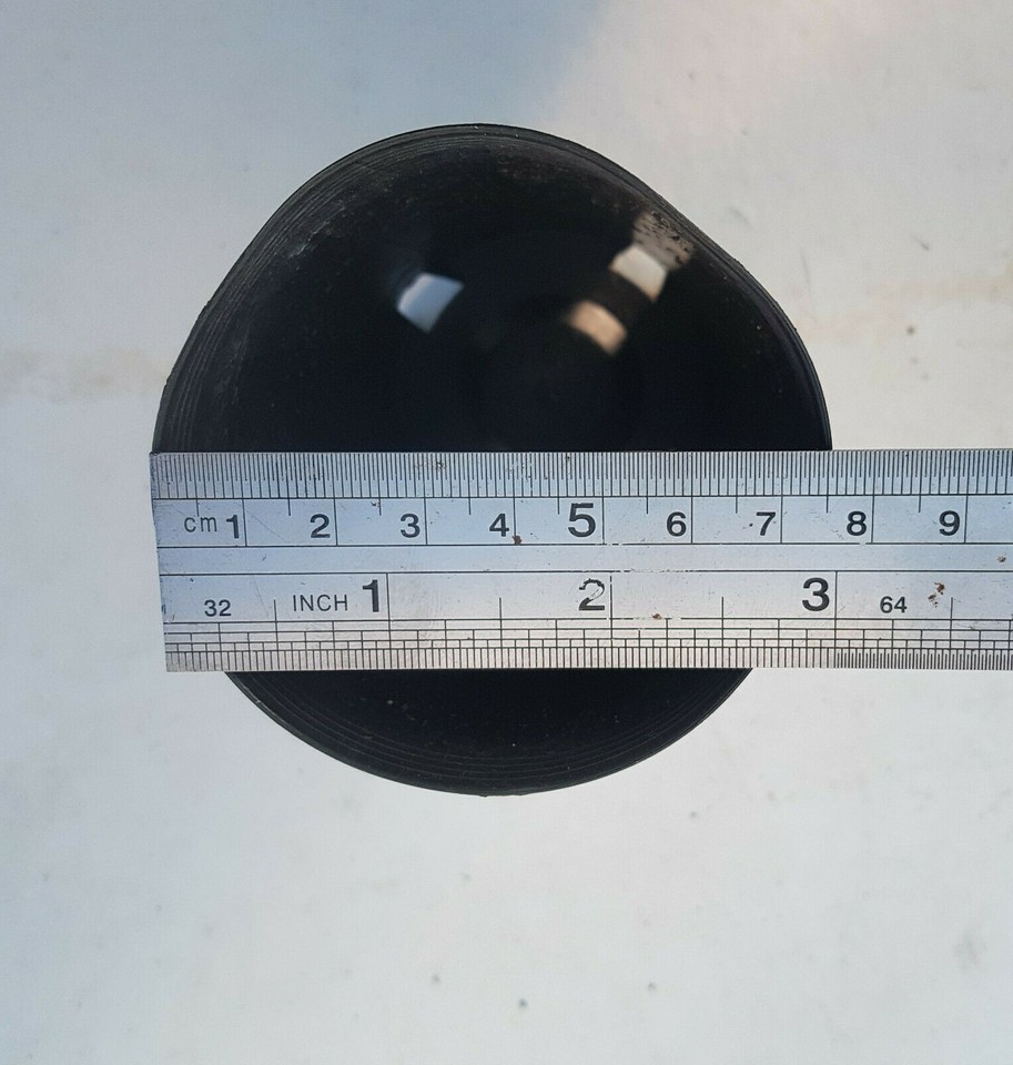 Brugmansia Monikas Merootagaum x 1 Plant - Angel's Trumpet - Like ...