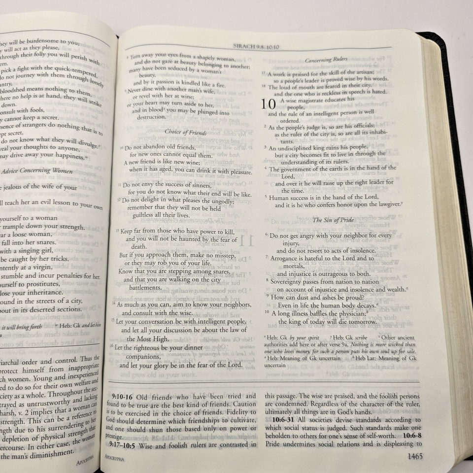 The New Interpreter's Study Bible NRSV w/ Apocrypha Genuine Leather ...