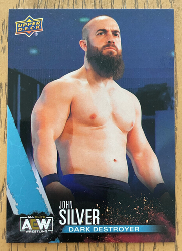 John Silver Dark Destroyer Finisher Parallel Card Upper Deck AEW 2021 ...