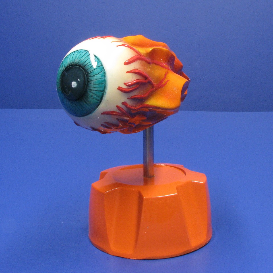 JFN228 Jimmy Flintstone Resin Flam'in Eyeball Shifter Knob model kit ...