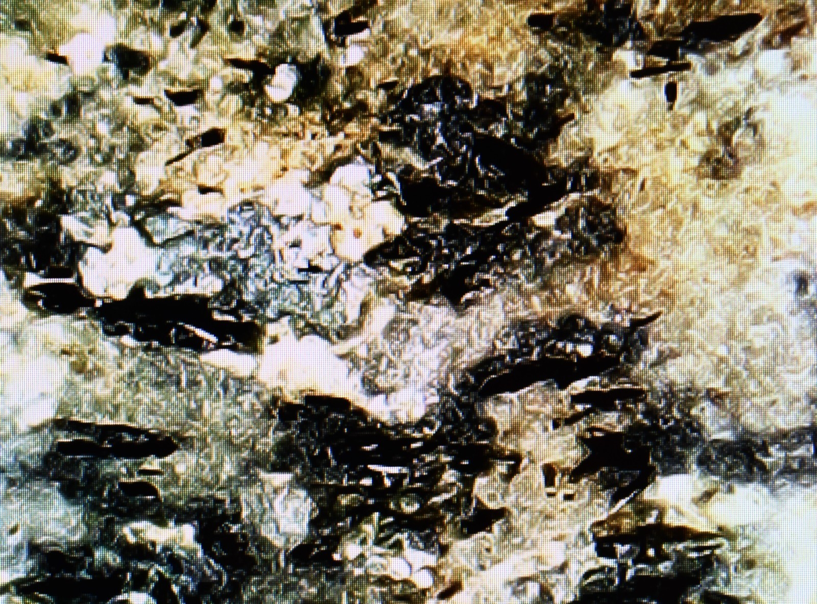 Hand Carved Gold Dominant Tower 1800s Ore Knob Copper Mine Appalachian ...