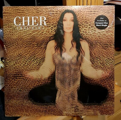 Cher- Believe 12" Maxi-Single LP Vinyl Nov-1998 Warner Bros. Records Record... | eBay