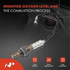 New Universal 4 Wires Oxygen Sensor for Chevy Toyota GMC Ford Dodge ...