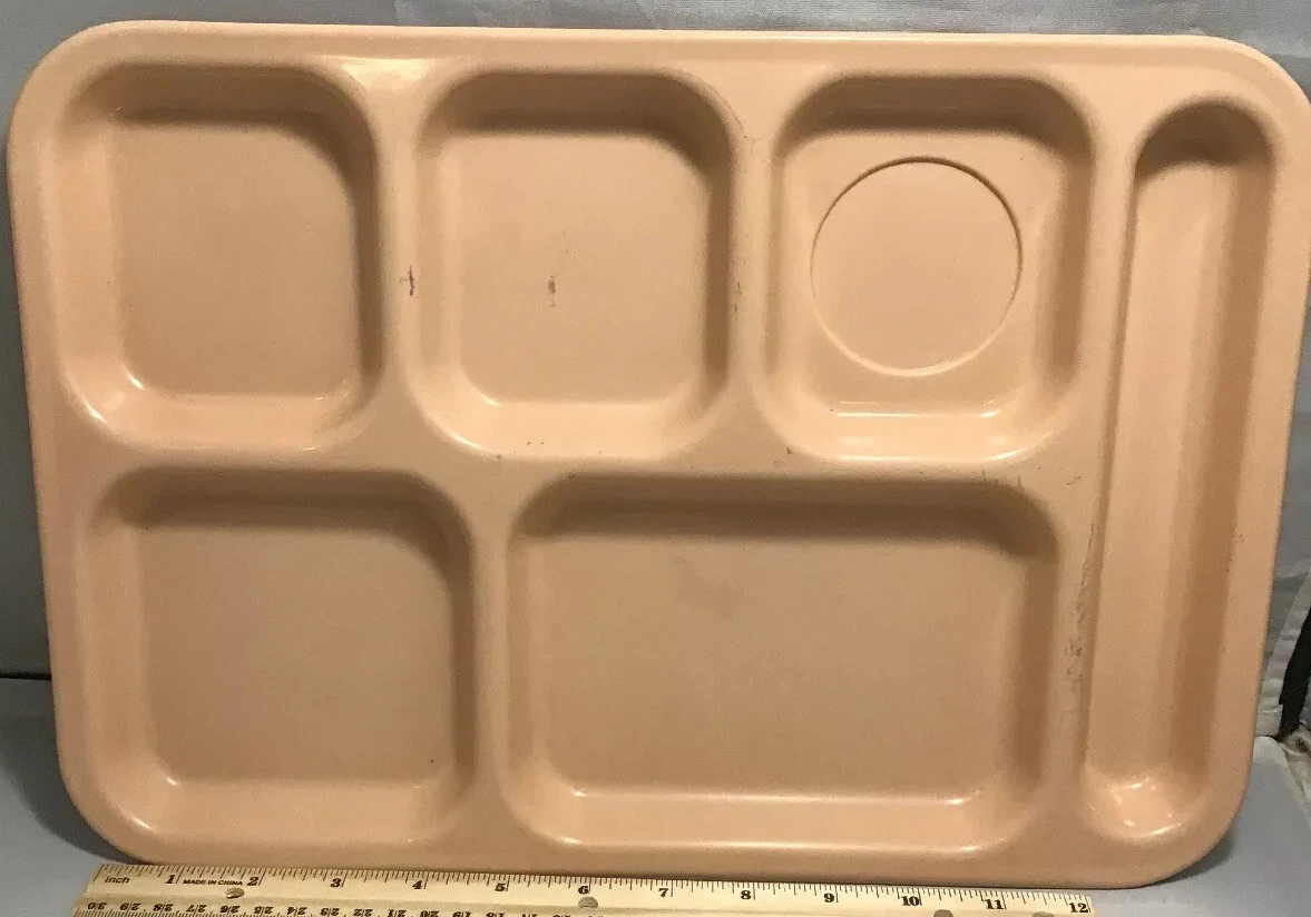 Empty School Lunch Tray
