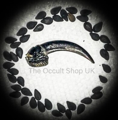 CROW CLAW - SATURN SHANI HINDU PUJA PROTECTION TALISMAN WICCA PAGAN ...