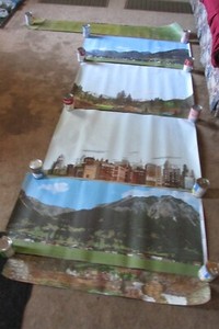 cooncreekfarm | eBay Stores