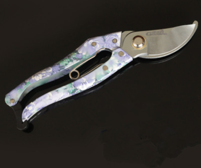 Horticultural Orchid Iron Handle Scissors Branch Fruit Tree Bonsai ...