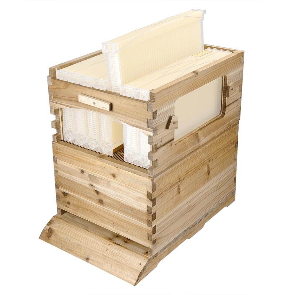 Auto Bee Hives Wood Honey Boxes Beehive + 7 x PVC Beekeeping Frames ...
