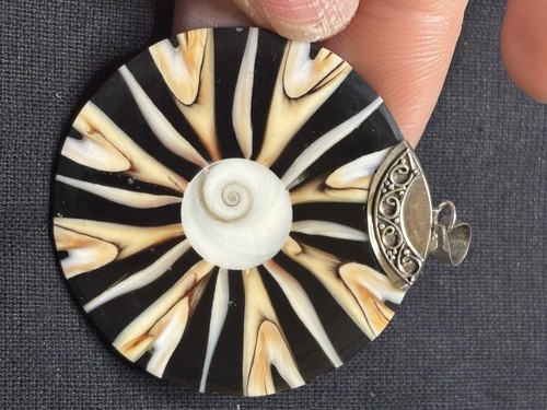 shiva shell pendant | eBay