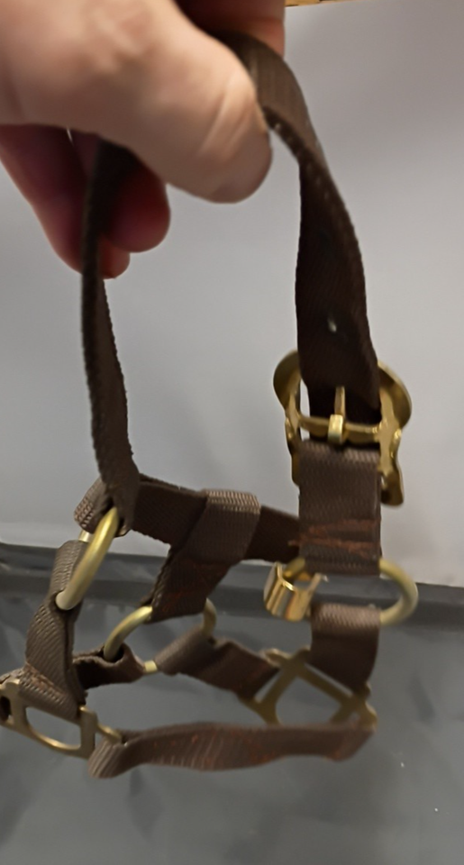 Brown Nylon Alpaca Small Horse Aminal Halter Brass Hardware | eBay