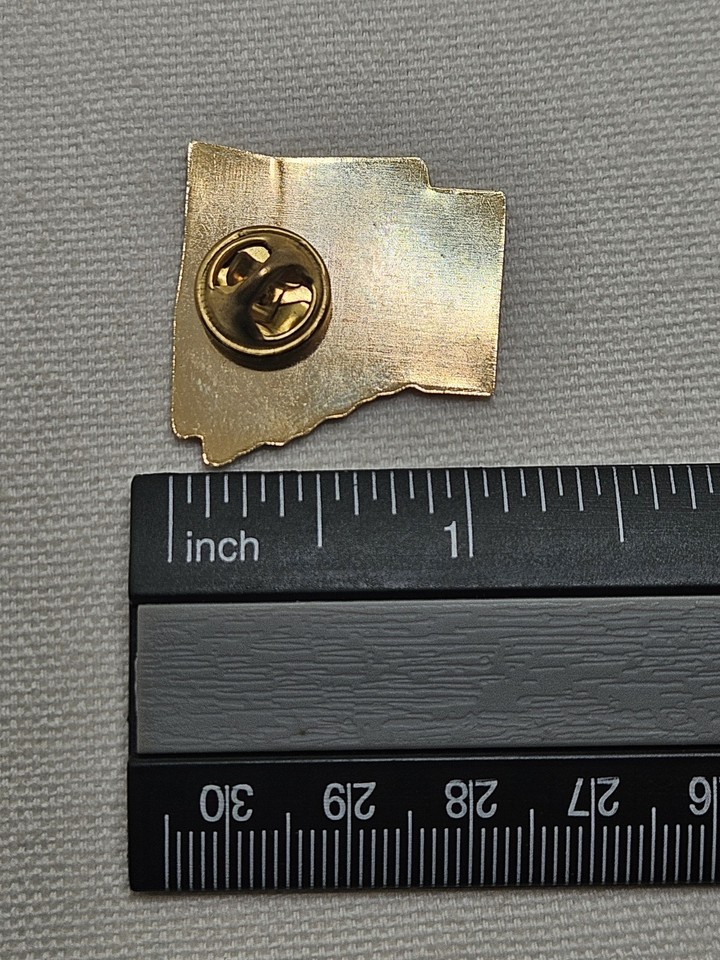 Vtg 1994 Arkansas Razorbacks NCAA Champions Lapel Push Back Pin. | eBay