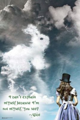 FANTASY POSTER Alice's Illusions Alice in Wonderland | eBay