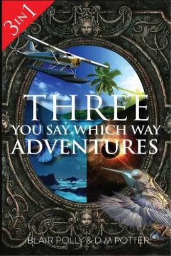 DM Potter Blair Polly Three You Say Which Way Adventures (Paperback ...
