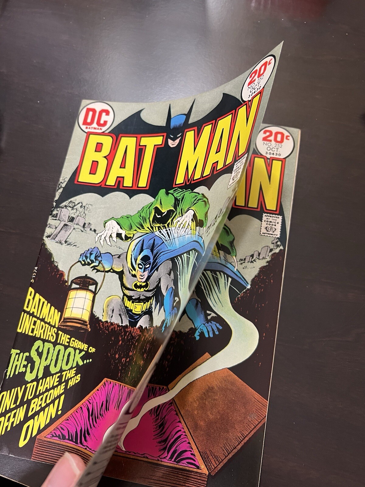 RARE DOUBLE COVER Batman #252, FN to FN+ to VF & Up, 1973 Nick Cardy ...