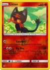 Litten - 27/214 - Common - Reverse Holo x1 - NM-Mint - SM Unbroken ...