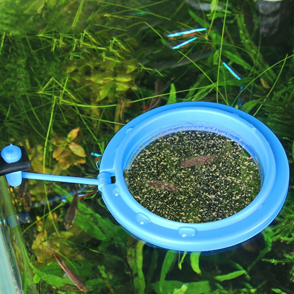 2 Pcs Aquarium Fish Feeding Feeder Floating Food Circle Plastic Blue ...