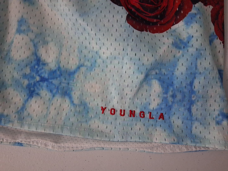YA Youngla Shorts Mens L Blue Red Roses And Clouds Athletic Gym Mesh ...
