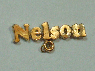 Nelson Name Metal Badge Super Pin! (#50) | eBay