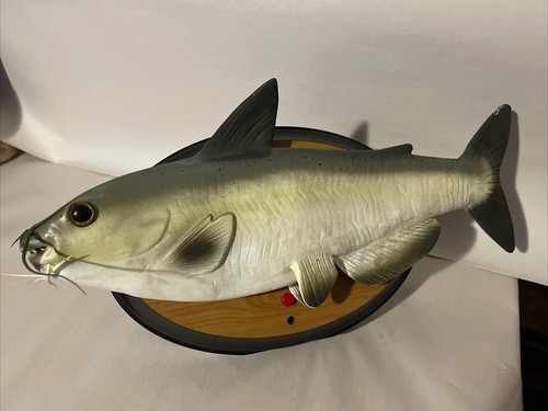Gemmy Cool Catfish Singing Talking Animated Fish Vintage SINGS Sensor Activated | eBay