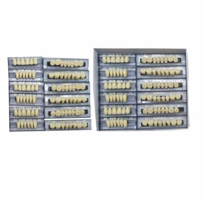 Porcelain - Denture Teeth