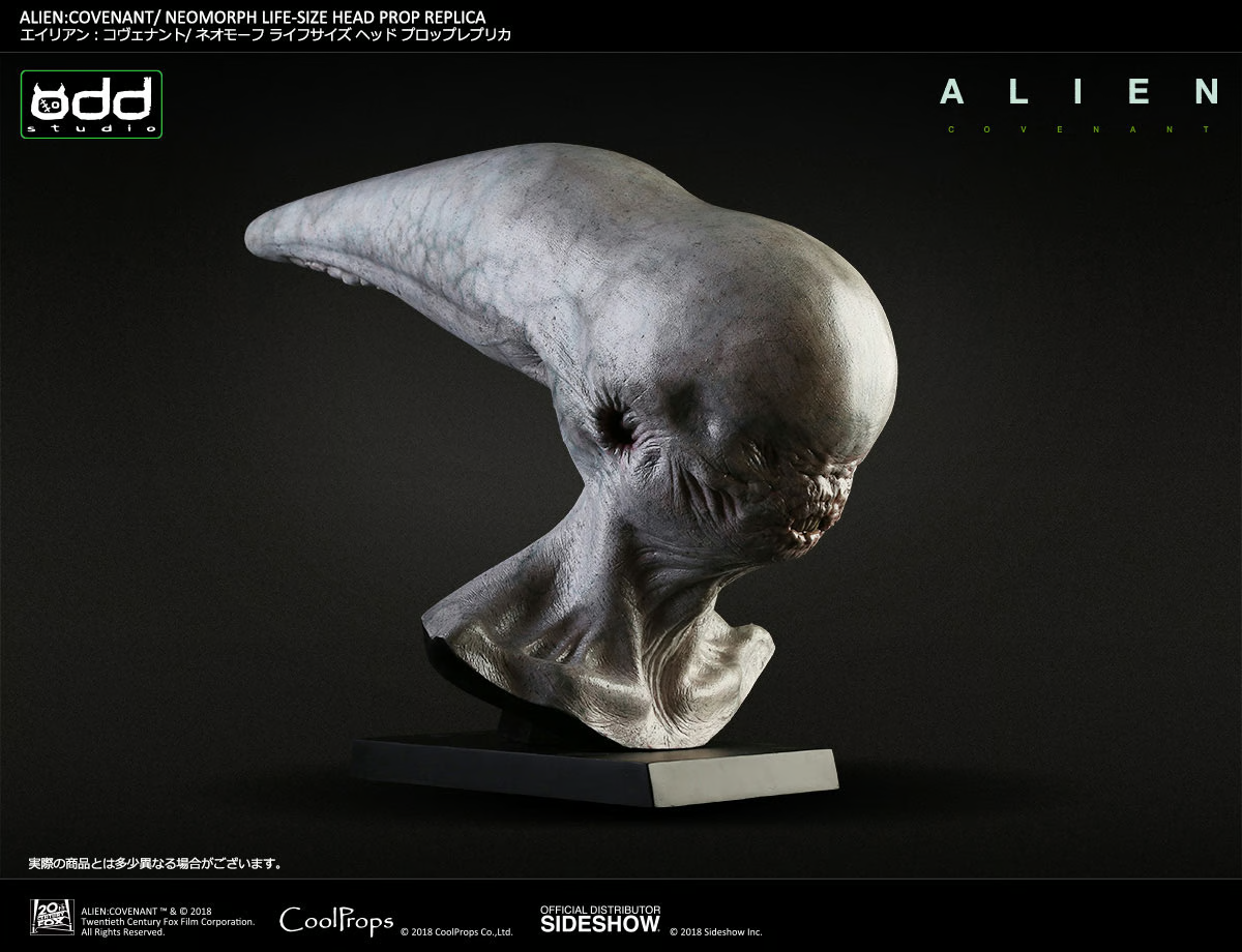 Xenomorph Lifesize Head Prop Replica By Coolprops
