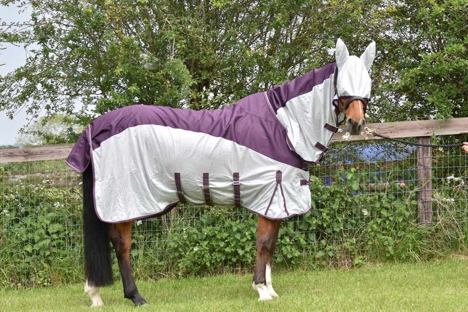 Horse Fly Rug Waterproof Fly Rug With Turnout Top Hybrid Fly Rug Free ...