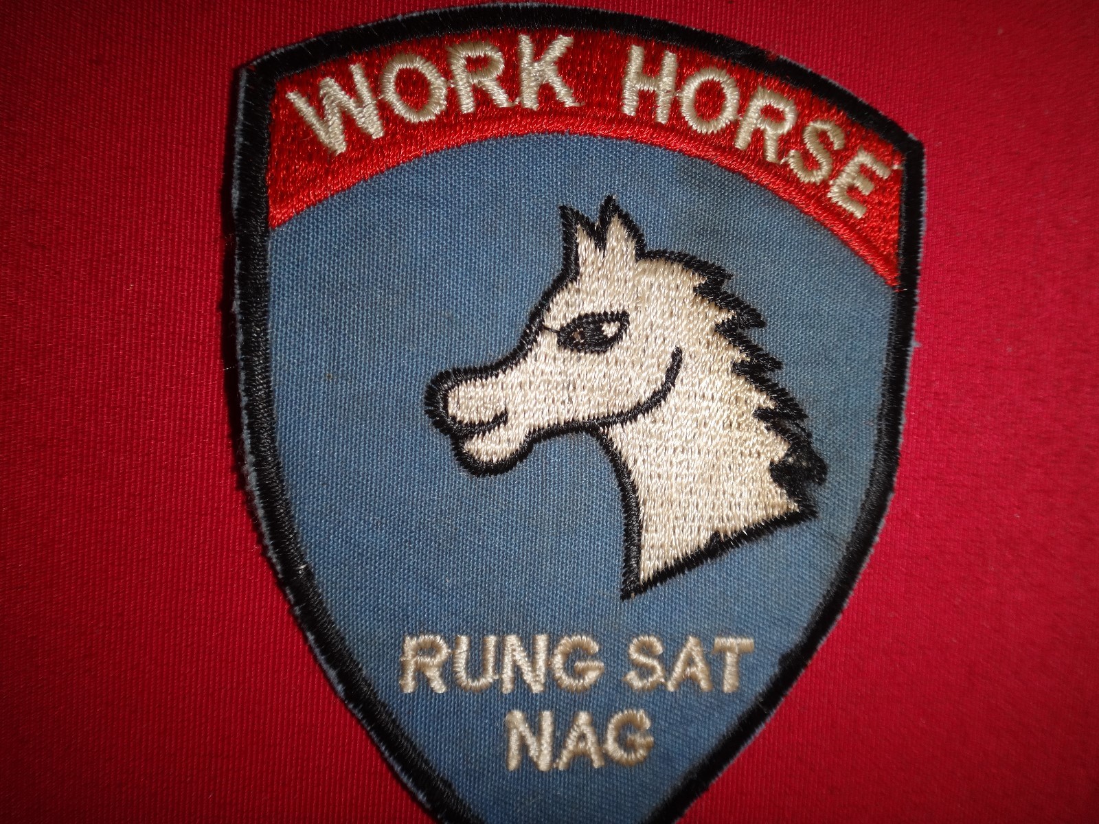 Vietnam War Patch US NAVAL ADVISORY GROUP (NAG) RUNG SAT Jungle WORK ...