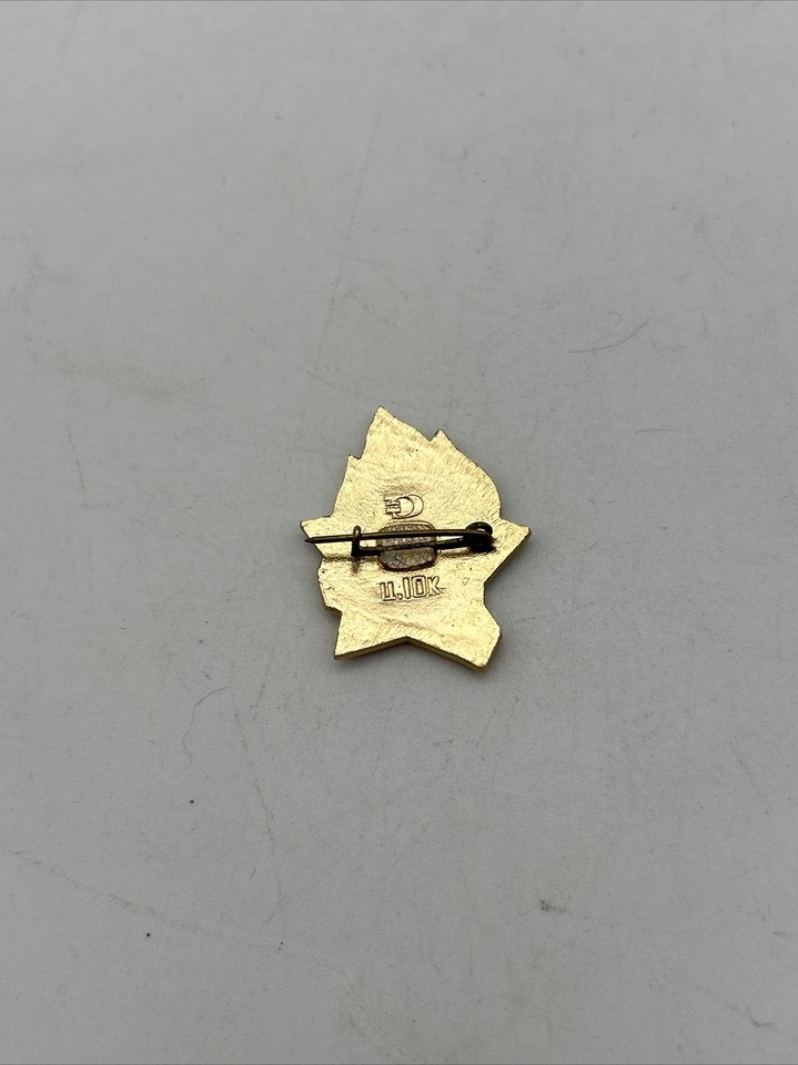 Soviet Union Vladimir Lenin Communist Party USSR Flame Pin Badge ...