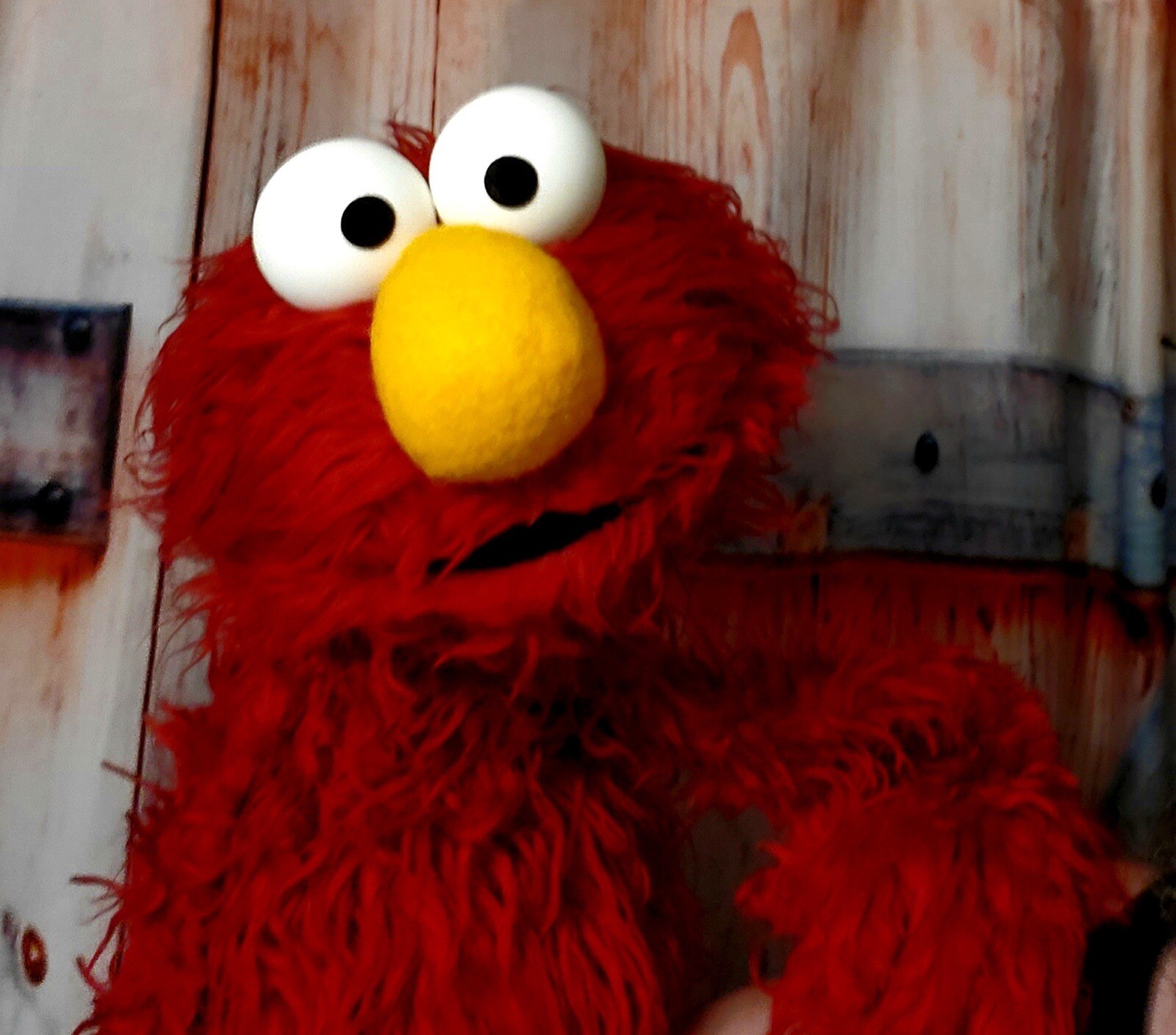 Custom Made Professional Full Body Monster Puppet!!! | eBay