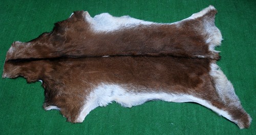 GOAT Western taxidermy Hide Rug Natural Pattern Fur Goat Hide Rode SA ...
