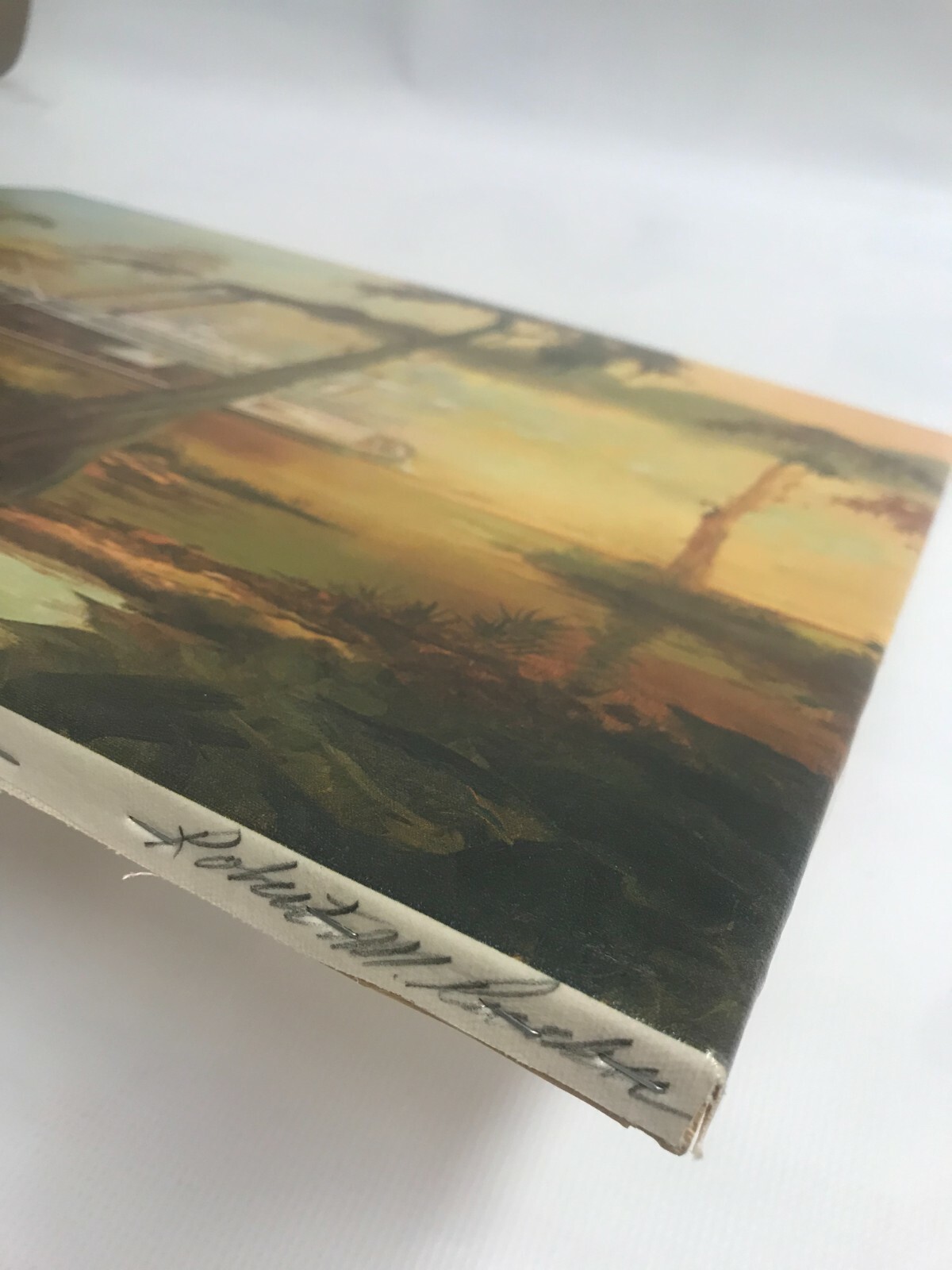 Louisiana Artist Robert M. Rucker Steamboat Canvas Art | eBay