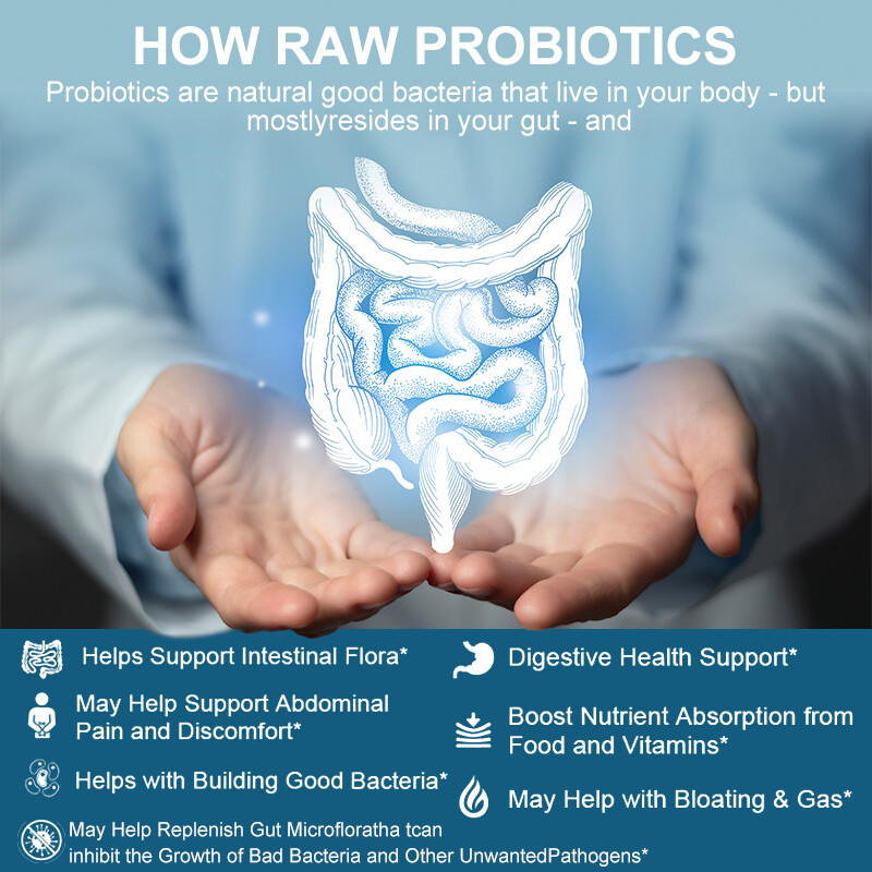 Probiotic Digestive Multi Enzymes Probiotics for Digestive Health Daily ...