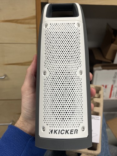 KICKER FLOAT - BULLFROG BF100 Bluetooth Music System | eBay