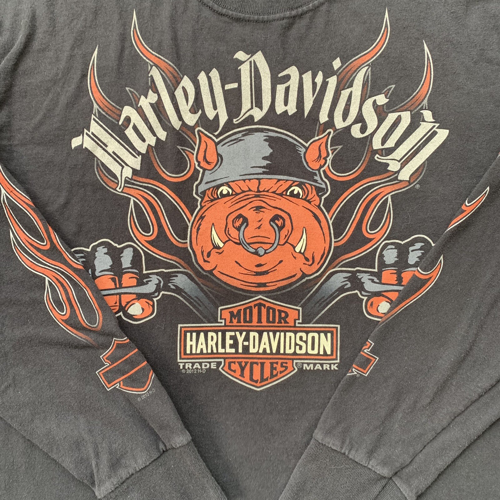 Harley Davidson Hog Graphic Smokey Mountain Maryville… - Gem